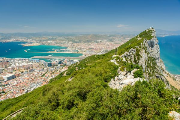 Cepsa optimiza la gestión ambiental en el Campo de Gibraltar - Diario ...